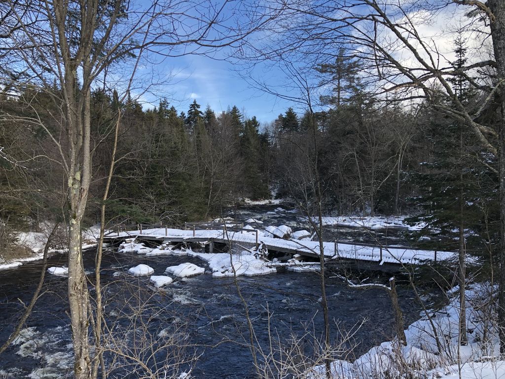 Tony Harper's Pizza & Clam Shack, Inc - Making Dough in the Adirondack ...