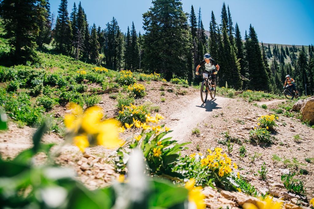 Grand Targhee Resort - CoolWorks.com