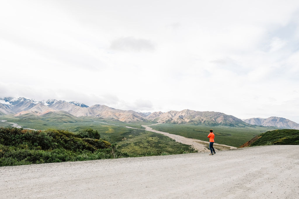 Denali Park Resorts - Aramark Parks and Destinations - Hospitality in ...
